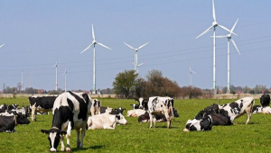 CO2-emissie reduceren: Nederlandse zuivelindustrie ligt op koers